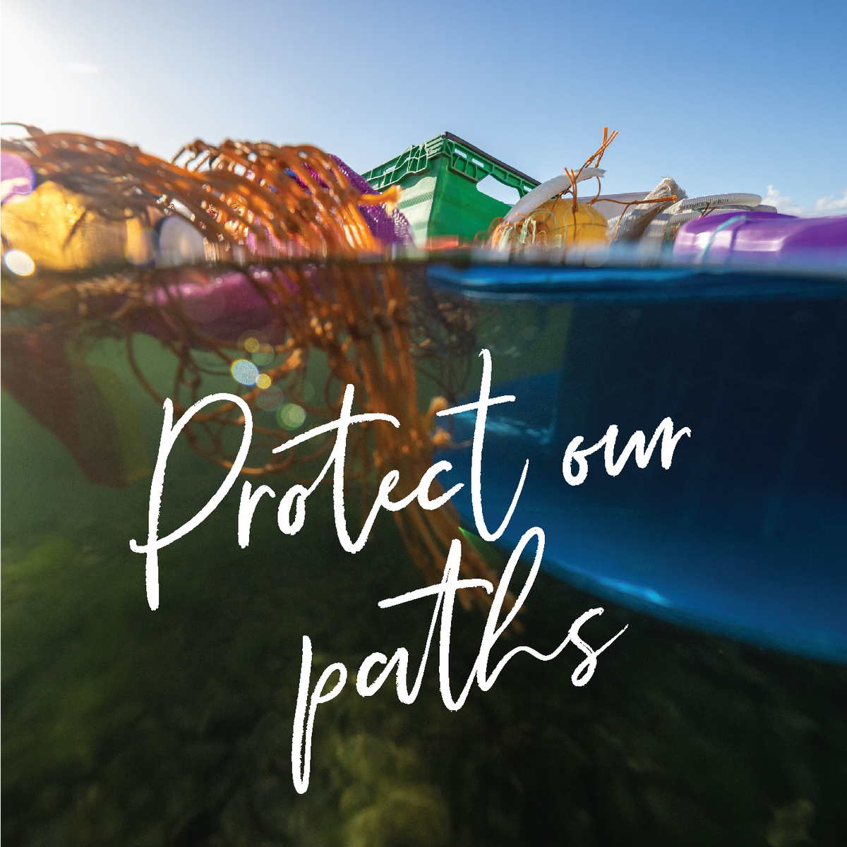 Protect Our Paths Foundation