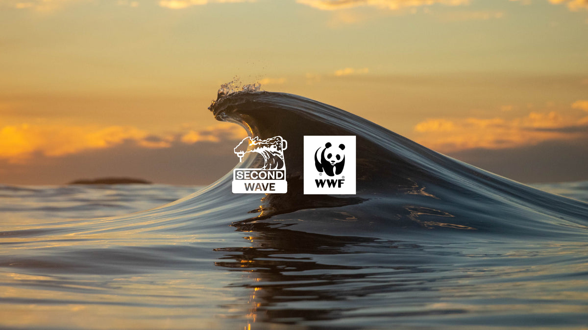 Second Wave